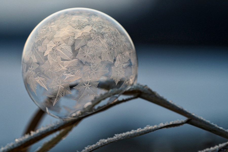 Weekly Rundown | Dec. 16 - Dec. 20 - Ernest Manning High School