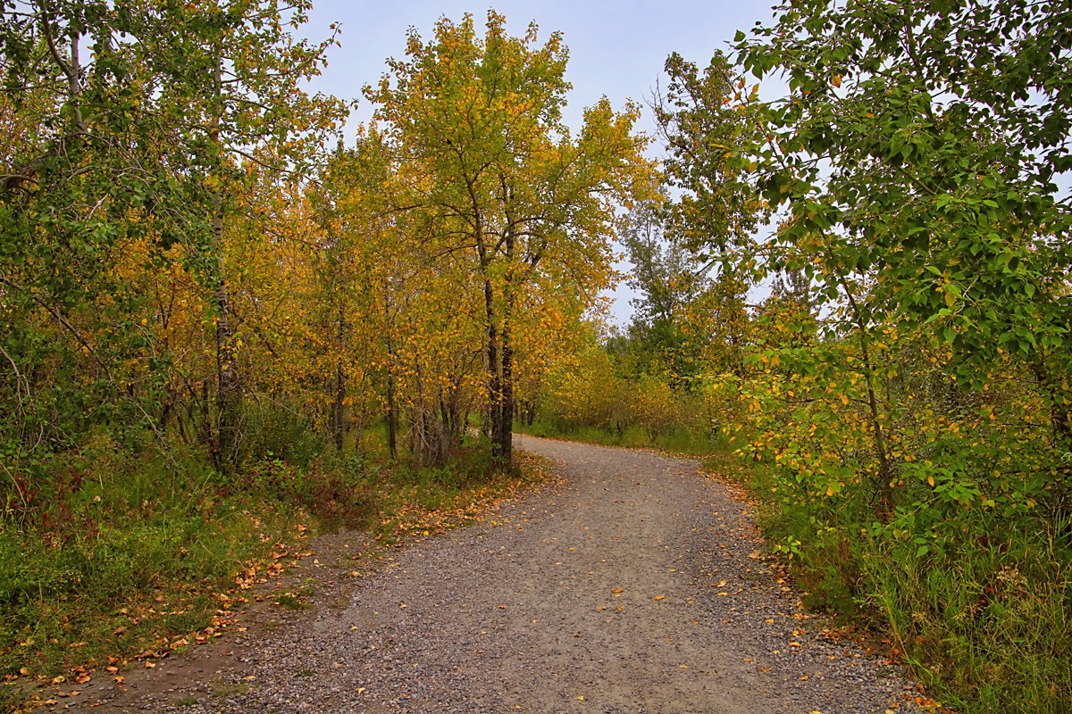 Weekly Rundown | Oct. 01 - Oct. 04 - Ernest Manning High School