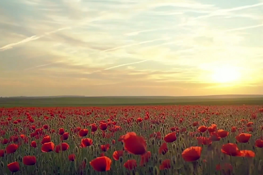 Weekly Rundown | Nov 4 - Nov 8 - Ernest Manning High School